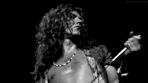 Images led zeppelin GIF - Find on GIFER