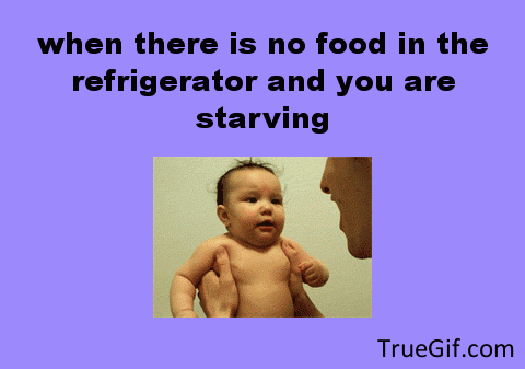 GIF starving - animated GIF on GIFER