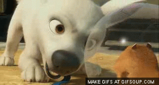 Starving GIF - Find on GIFER