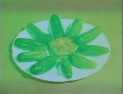 Pickles GIF - Find on GIFER