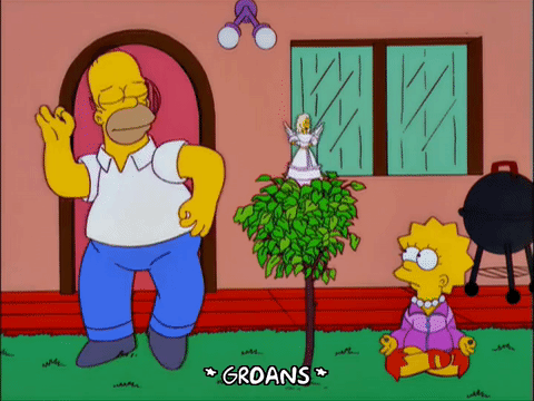 GIF 13x06 homer simpson music - animated GIF on GIFER