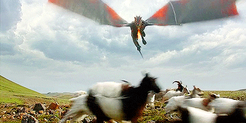 Buffet me GIF - Find on GIFER