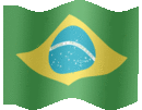 Brazil GIF - Find on GIFER