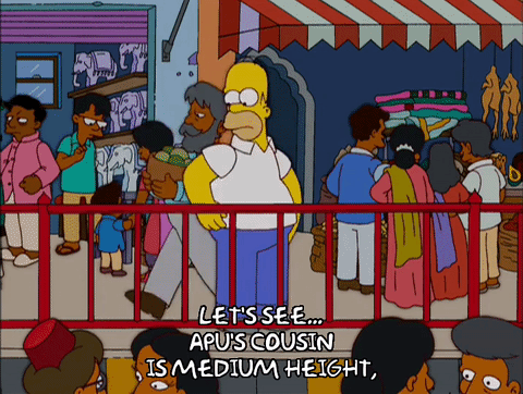 Homer simpson episode 17 india GIF - Find on GIFER