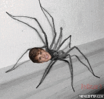 Fear GIF - Find on GIFER