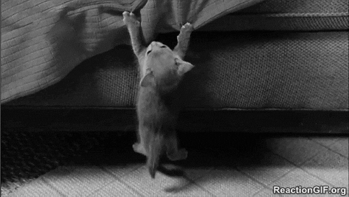 Fear GIF - Find on GIFER