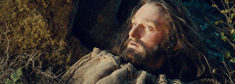 GIF thorin oakenshield - animated GIF on GIFER