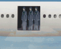 GIF absurd - animated GIF on GIFER