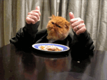 Cool story bro GIF on GIFER - by Aragas