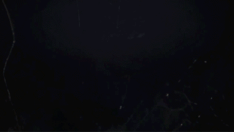 GIF tks - animated GIF on GIFER