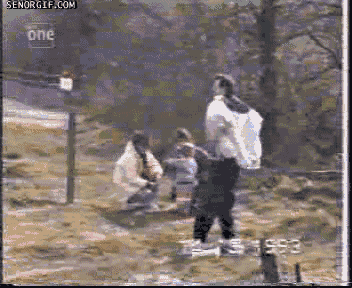 Day weather stroll GIF - Find on GIFER