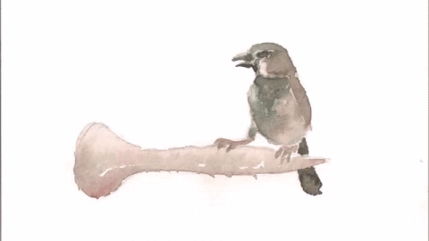 Watercolor animation GIF - Find on GIFER
