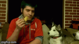 Anyone anytime GIF - Find on GIFER