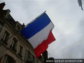 French GIF - Find on GIFER