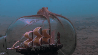 Cthulhu exercise training GIF - Find on GIFER