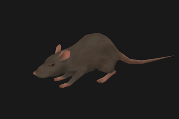 GIF low poly - animated GIF on GIFER