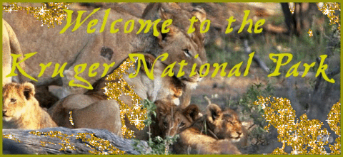 GIF south africa - animated GIF on GIFER