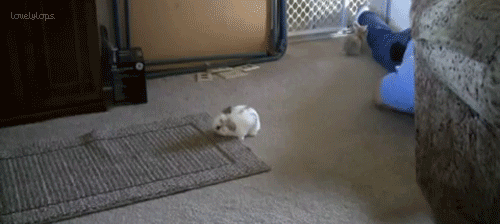 GIF jump floor - animated GIF on GIFER