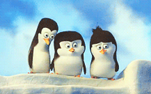 Madagascar GIF - Find on GIFER