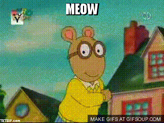 Meow GIF - Find on GIFER