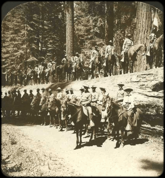 Trunk Open Gif at Mark Cortese blog