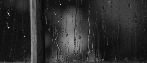 Alaska GIF - Find on GIFER