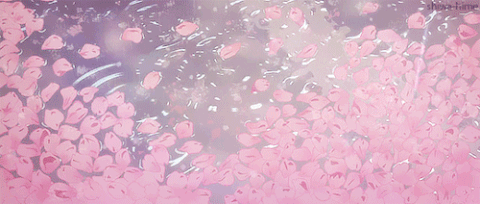 Petals GIF - Find on GIFER