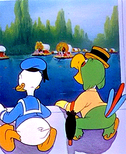 Disney short GIF - Find on GIFER