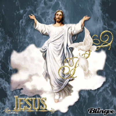 GIF glory - animated GIF on GIFER