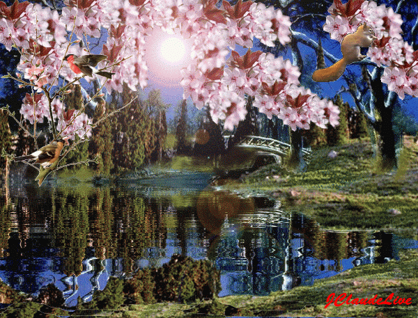 GIF au - animated GIF on GIFER