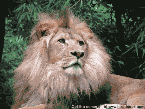 Open GIF - Find on GIFER