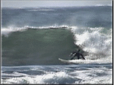 GIF surf - animated GIF on GIFER