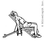 Biceps GIF - Find on GIFER