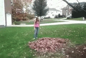 Leaves GIF - Find on GIFER