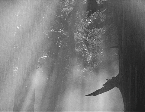 Fog foggy GIF - Find on GIFER