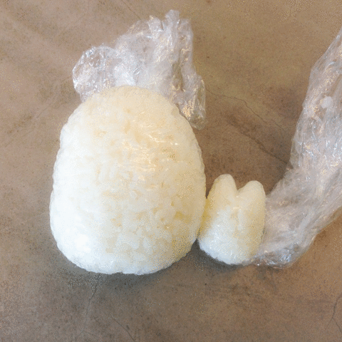 GIF bento - animated GIF on GIFER