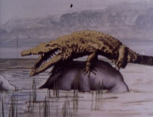 Monty pythons flying circus monty python animation GIF - Find on GIFER