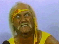Hulk hogan GIF - Find on GIFER