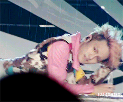Jongkey GIF - Find on GIFER