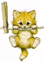 508 GIF - Find on GIFER