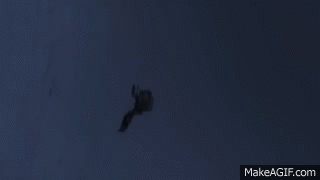 Void GIF - Find on GIFER