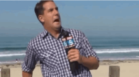 Reporter GIF - Find on GIFER