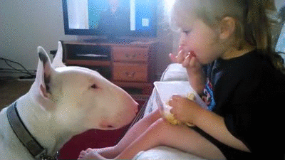 GIF cuties - animated GIF on GIFER