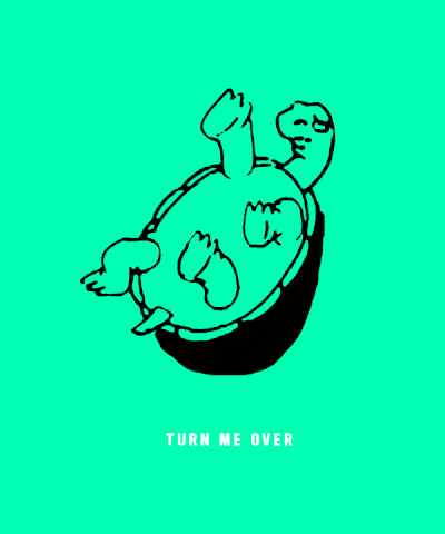 GIF turn - animated GIF on GIFER