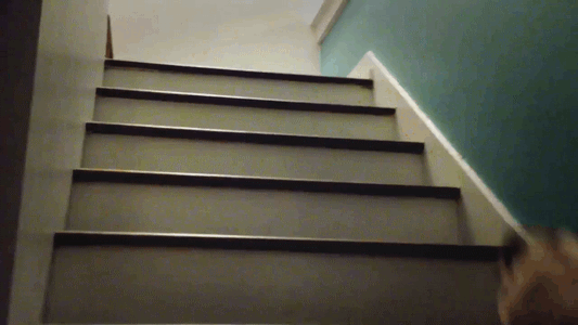 Gif Tímido Timido Free Animated GIF PicMix