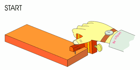 GIF stem - animated GIF on GIFER