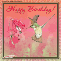 GIF hummingbird - animated GIF on GIFER