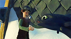 GIF toothless httyd hiccup - animated GIF on GIFER