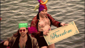Freedom GIF - Find on GIFER