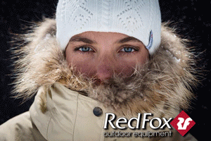 Red fox GIF - Find on GIFER